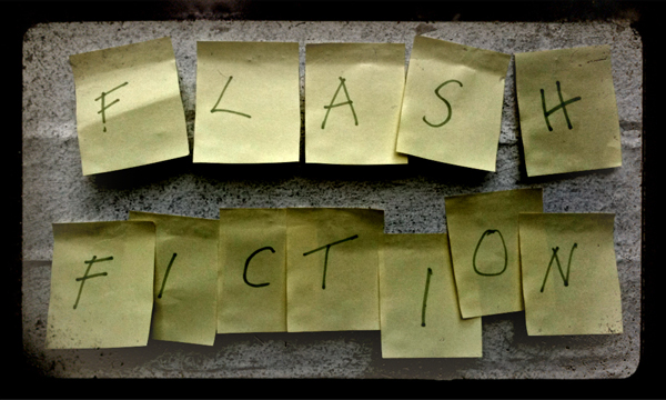 30 word flash fiction